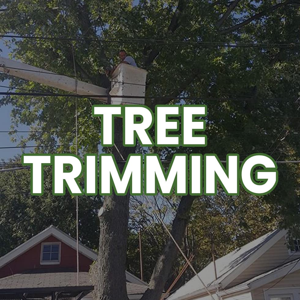 Staten Island Tree Removal, Tree Trimming & Care | G&R Tree Service