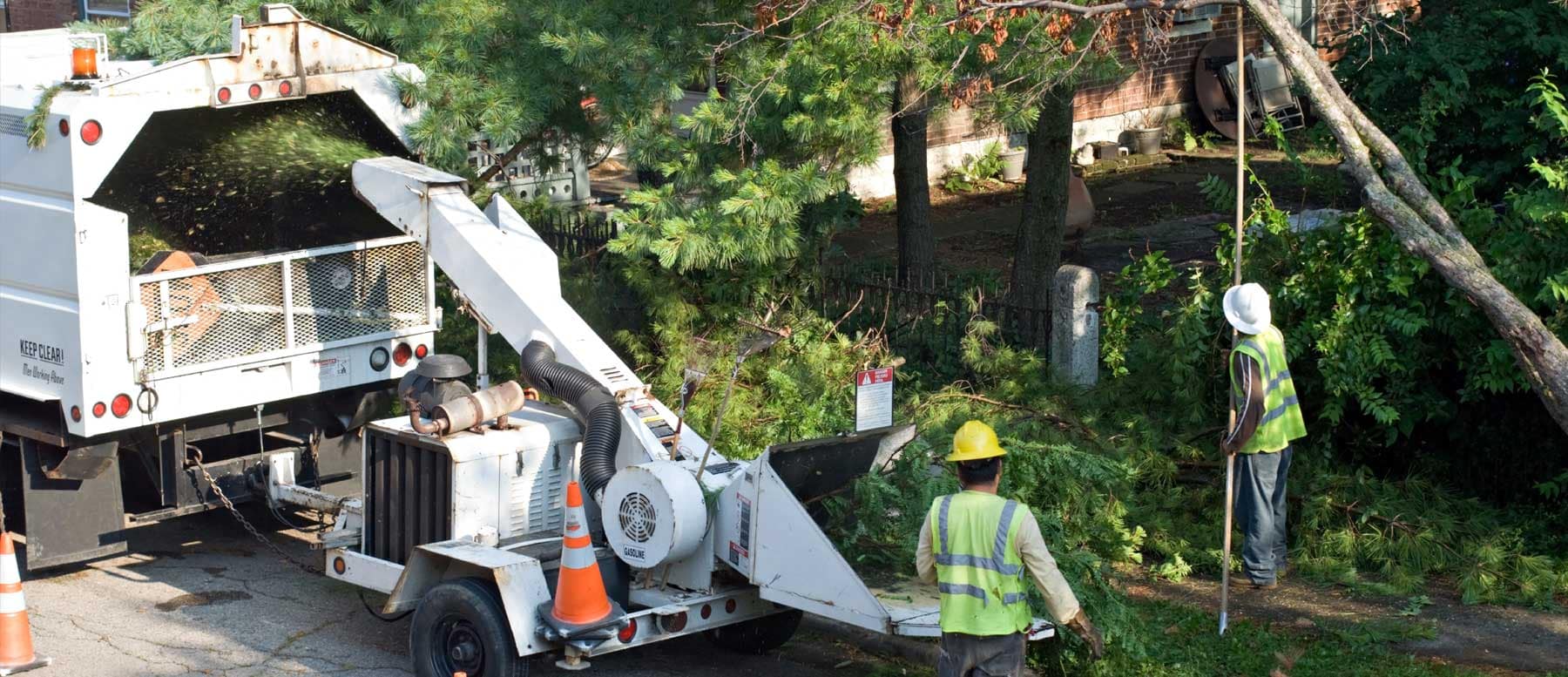 Fall Special 15% Off Tree Removal - G&R Tree Service
