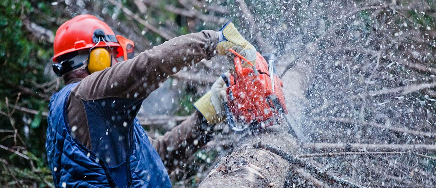 Staten Island Tree Removal - G&R Tree Service
