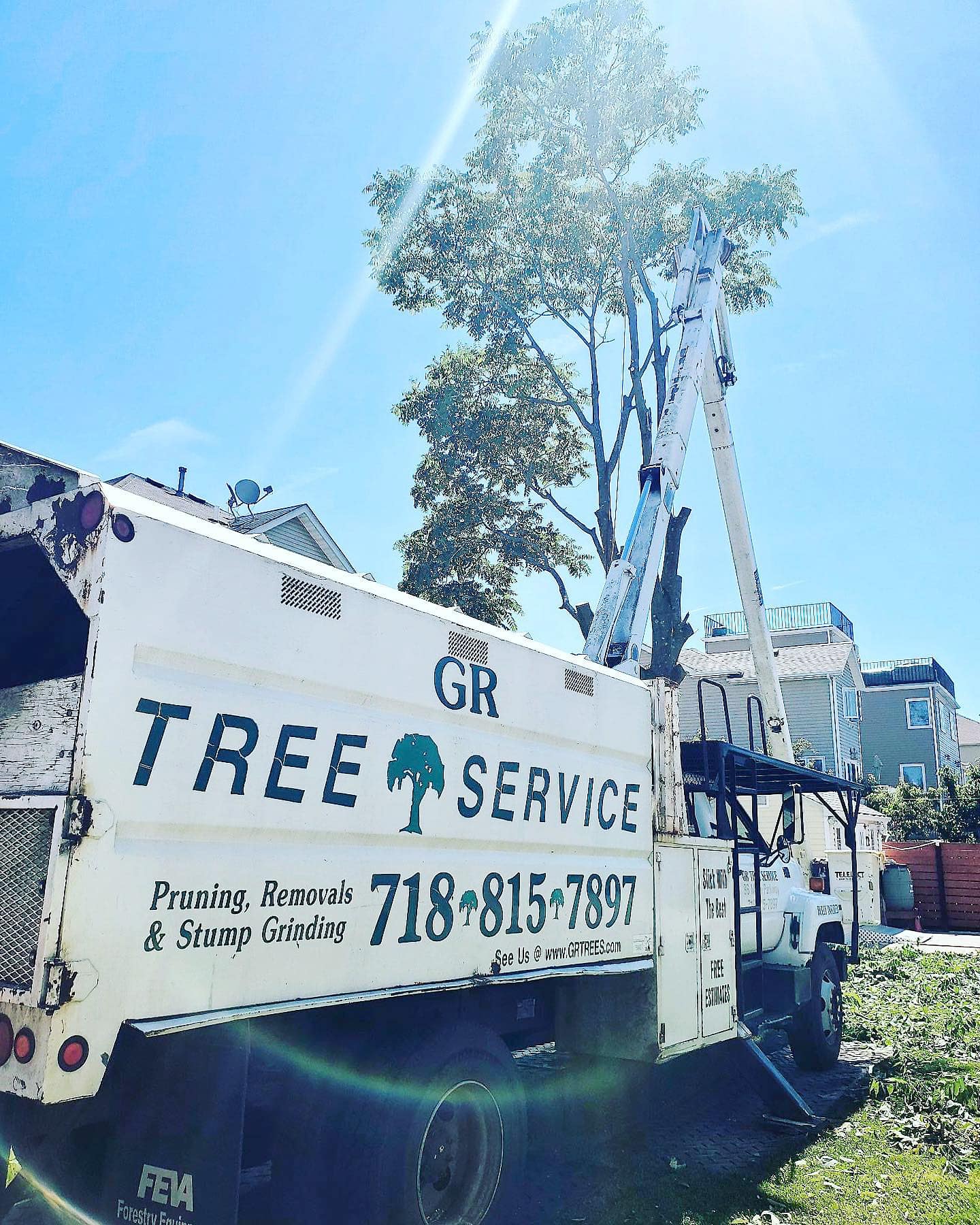 Staten Island Tree Removal, Tree Trimming & Care | G&R Tree Service